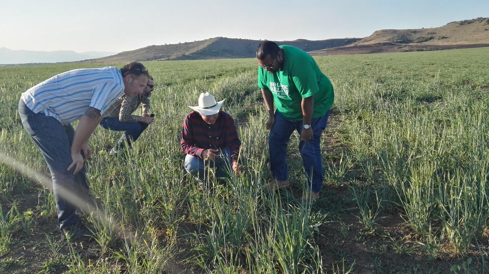 TalkingTransport and Payloads: South Africa's biggest hemp farm