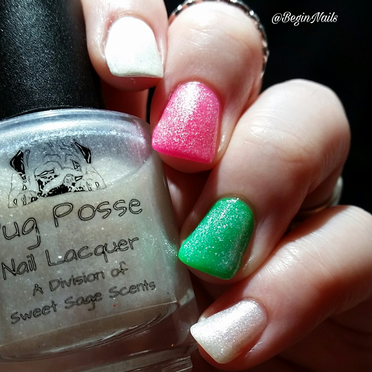 Let's Begin Nails: Pug Posse Nail Lacquer - Pug Love Collection Swatch ...