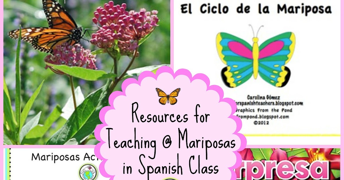 Resources for Teaching about Mariposas in Your Spanish Classroom ...