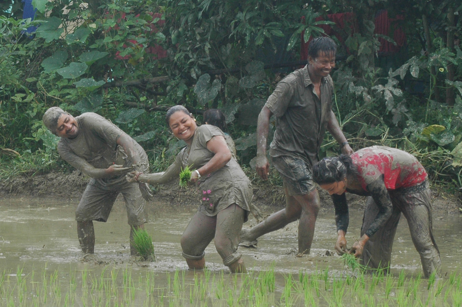 प्रकृति: Asar 15