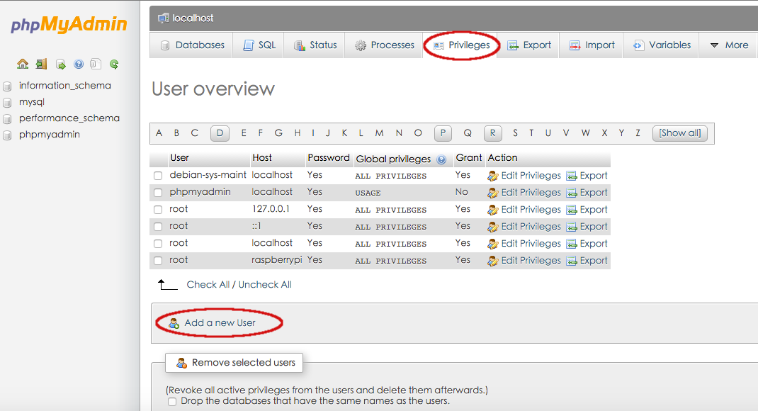 Study Raspberry Pi: phpMyAdmin - Create a new user