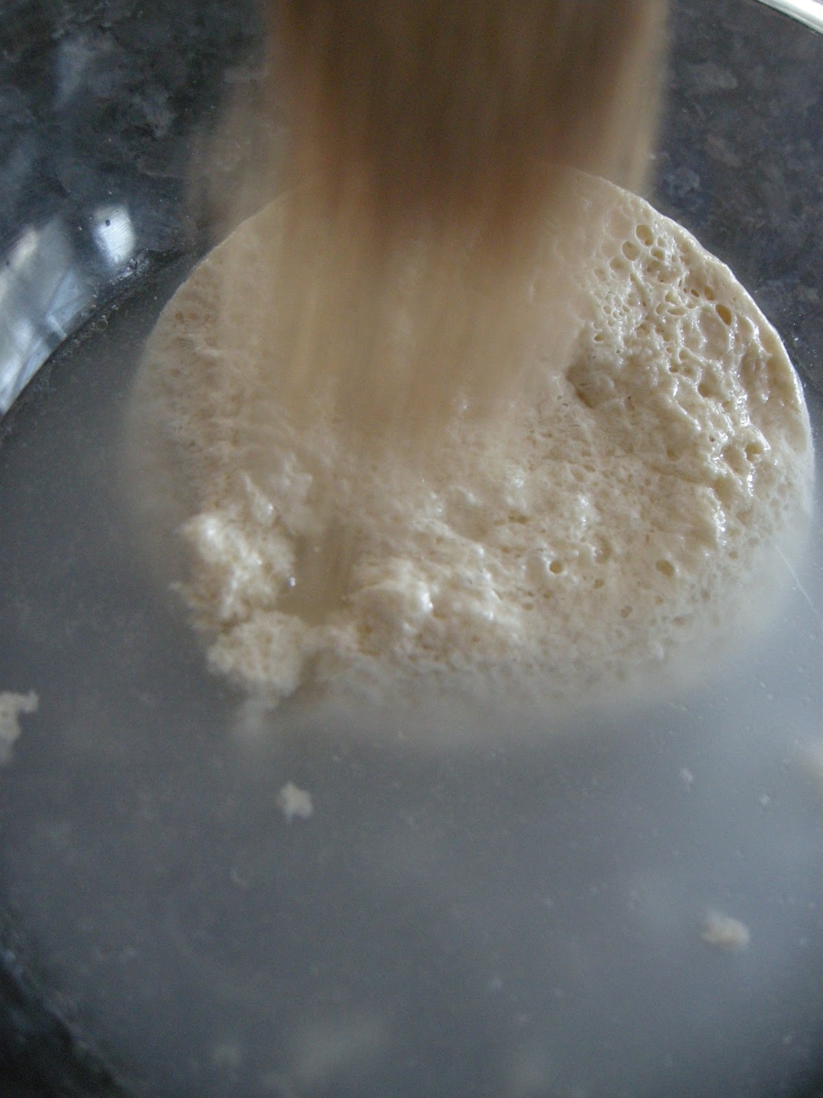 Kitchens Are Monkey Business: Rosie Makes Filone. It's Bread.