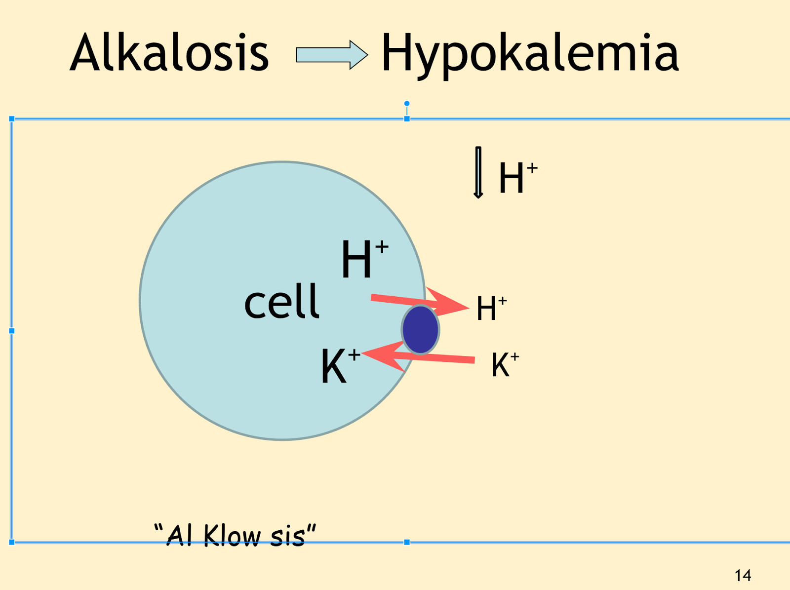 Tutor's Notes: general, cardiovascular, respiratory and renal ...