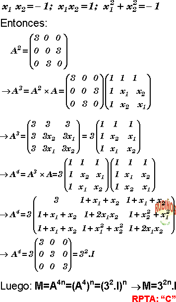 MATRICES EJERCICIOS RESUELTOS PDF