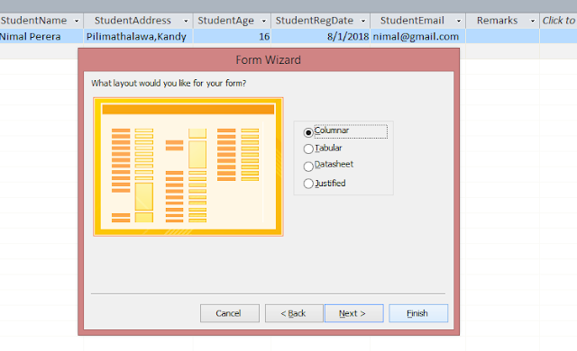 MS Excel,MS Access,Google Sheet: How to create Access form to enter data