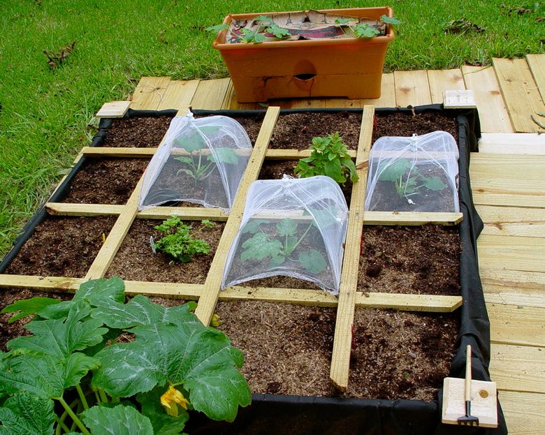LLYYNN - Lynn Davis: Lots of Square Foot Gardening