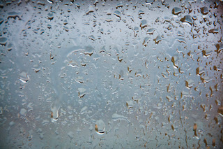 Photobrook Photography: October 2011