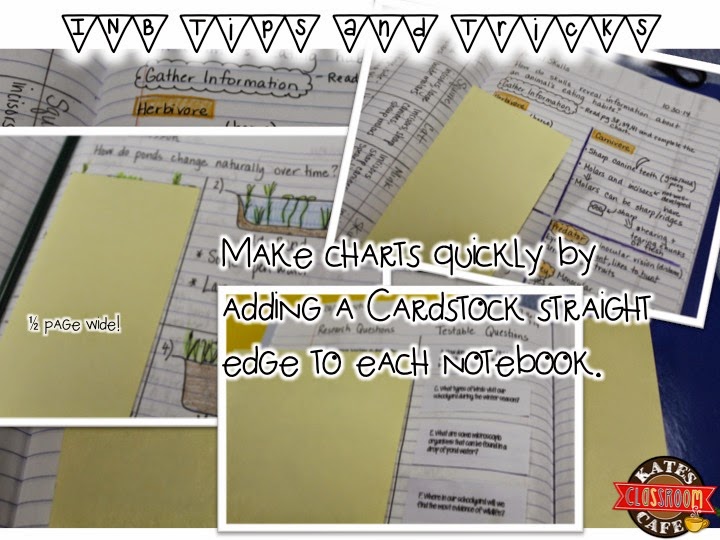 Practical Interactive Notebook Strategies - Captivate Science