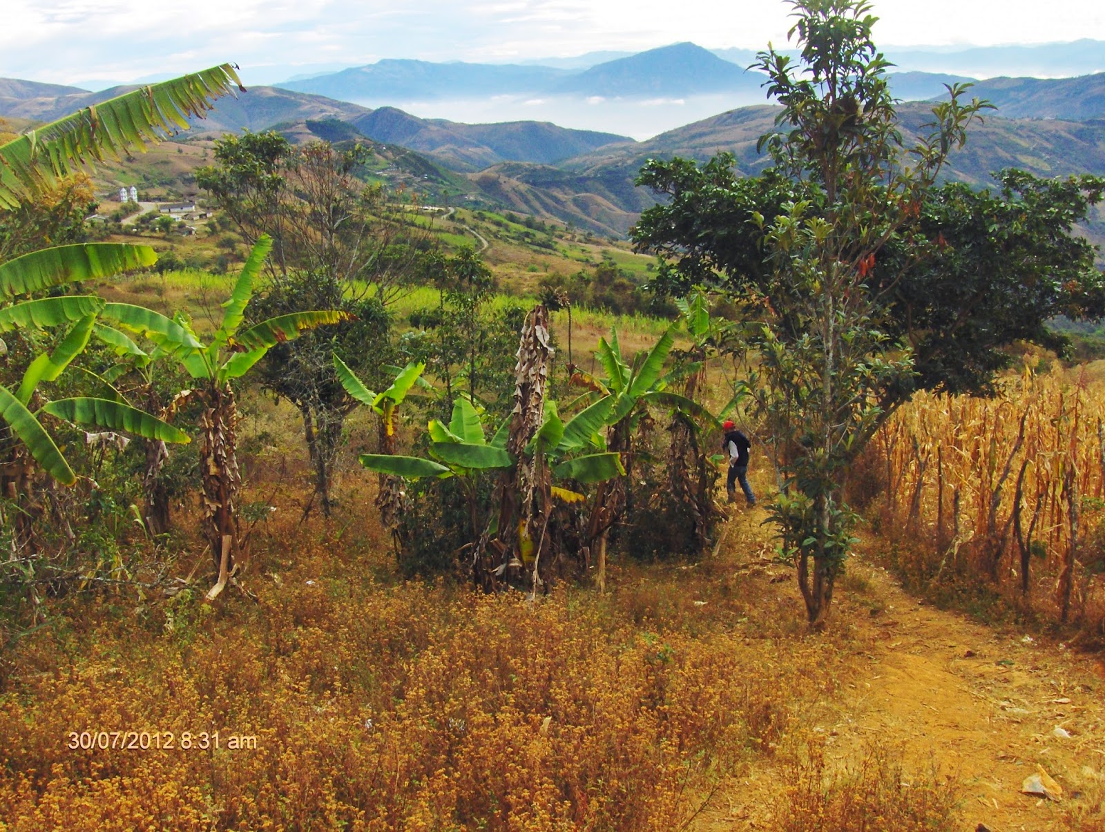 A VUELO DE UN QUINDE® - EL BLOG !!!!! .::::.: marzo 2015