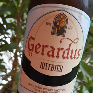 4de Bier Verhaal van Januari: Gerardus Wittems Kloosterbier Dubbel ...