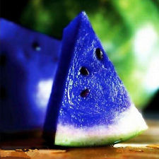 Mudflower: Blue watermelon seeds do NOT exist