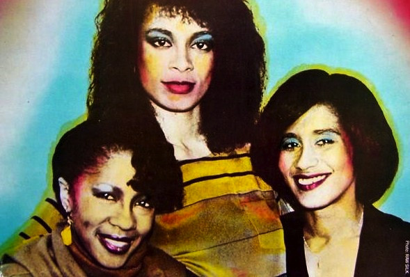 Disco Vinyl : Raw Silk