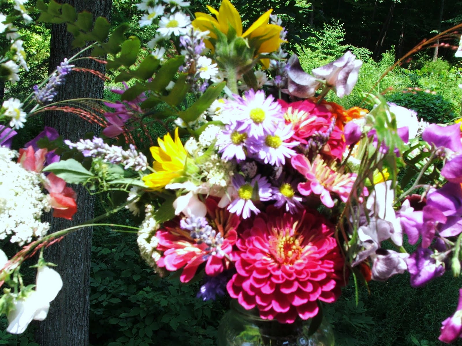 Adirondack Flower Farm