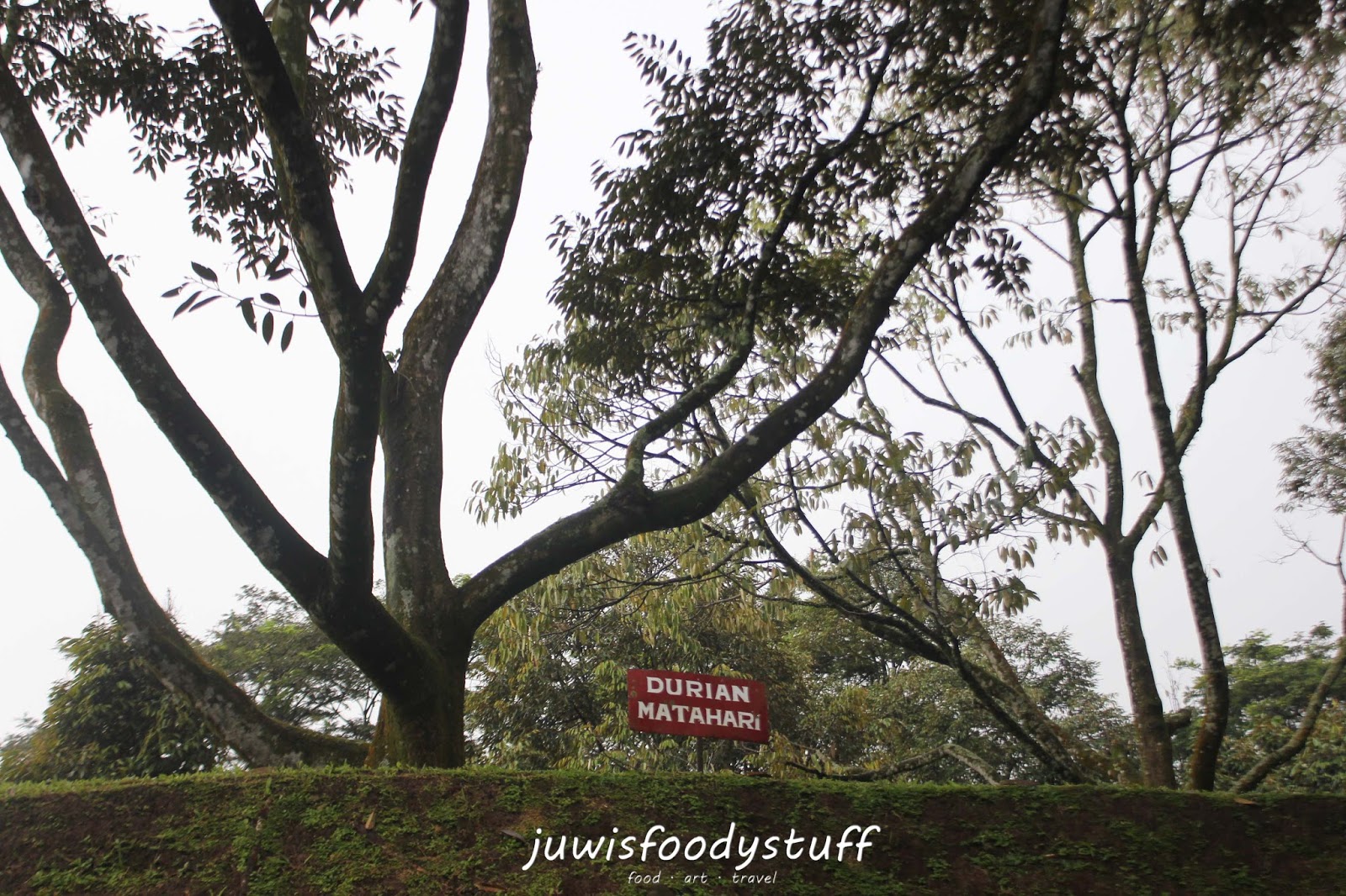 Dua kali ke Warso Farm? A big NO! - Juwita Sari's Blog