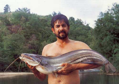 Udendra's Blog: Some special freshwater fishes of Sri Lanka