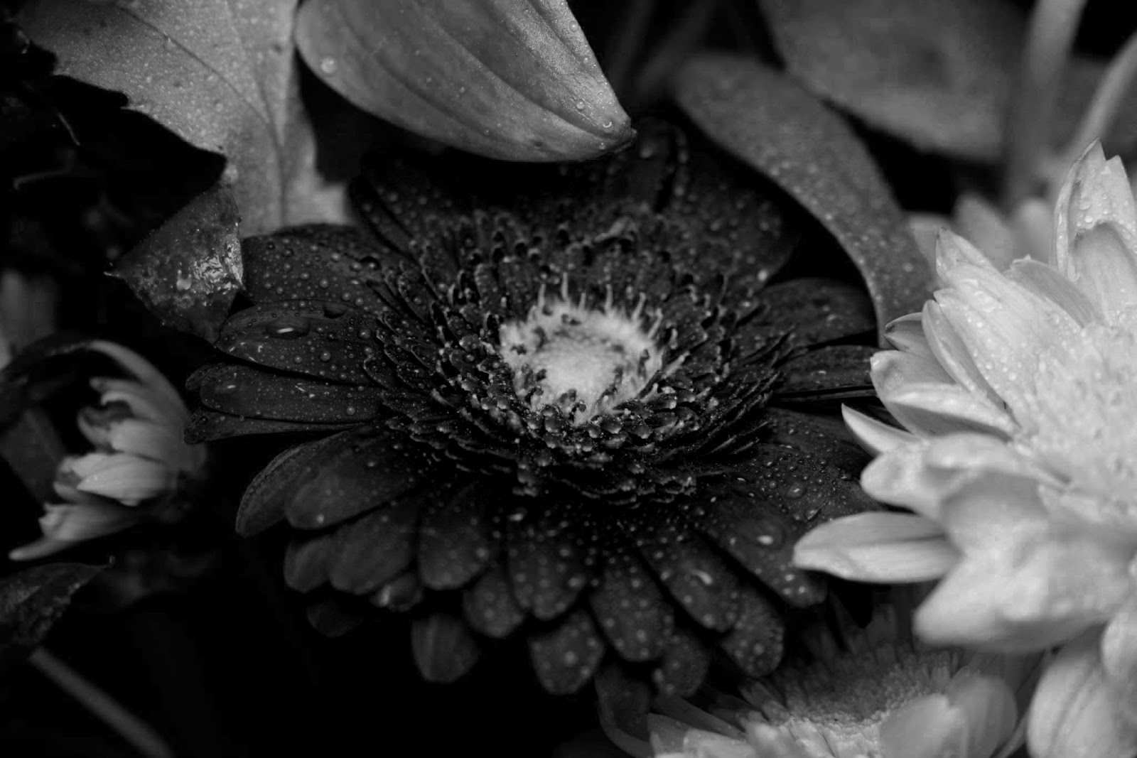 Jake Tweed Photography