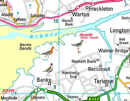 Birds and Their Habitats: Session 5 - 1st November 2012