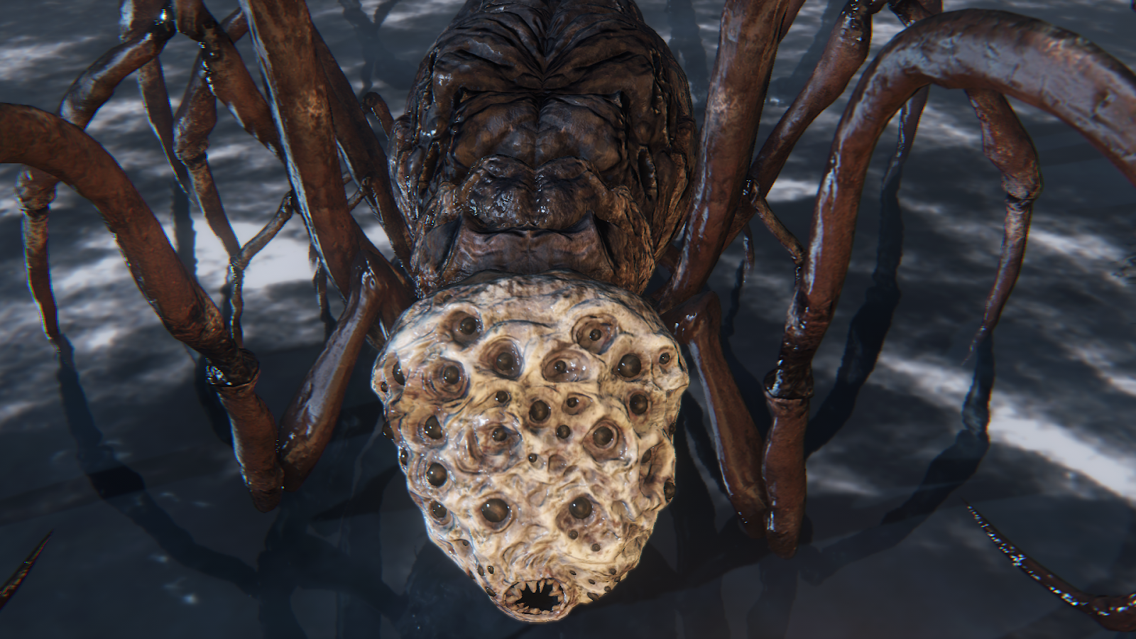 Rom, the Vacuous Spider Gallery | Bloodborne Wiki