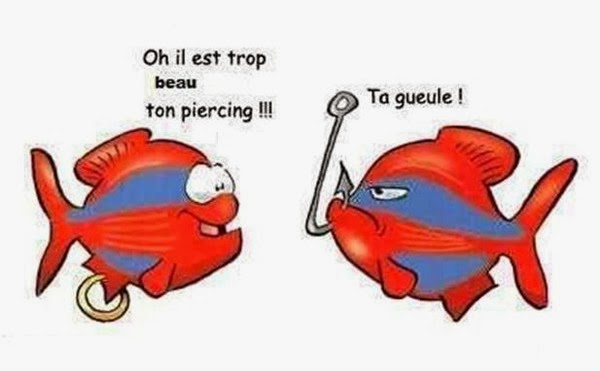 LE COQ PICORE: HUMOUR