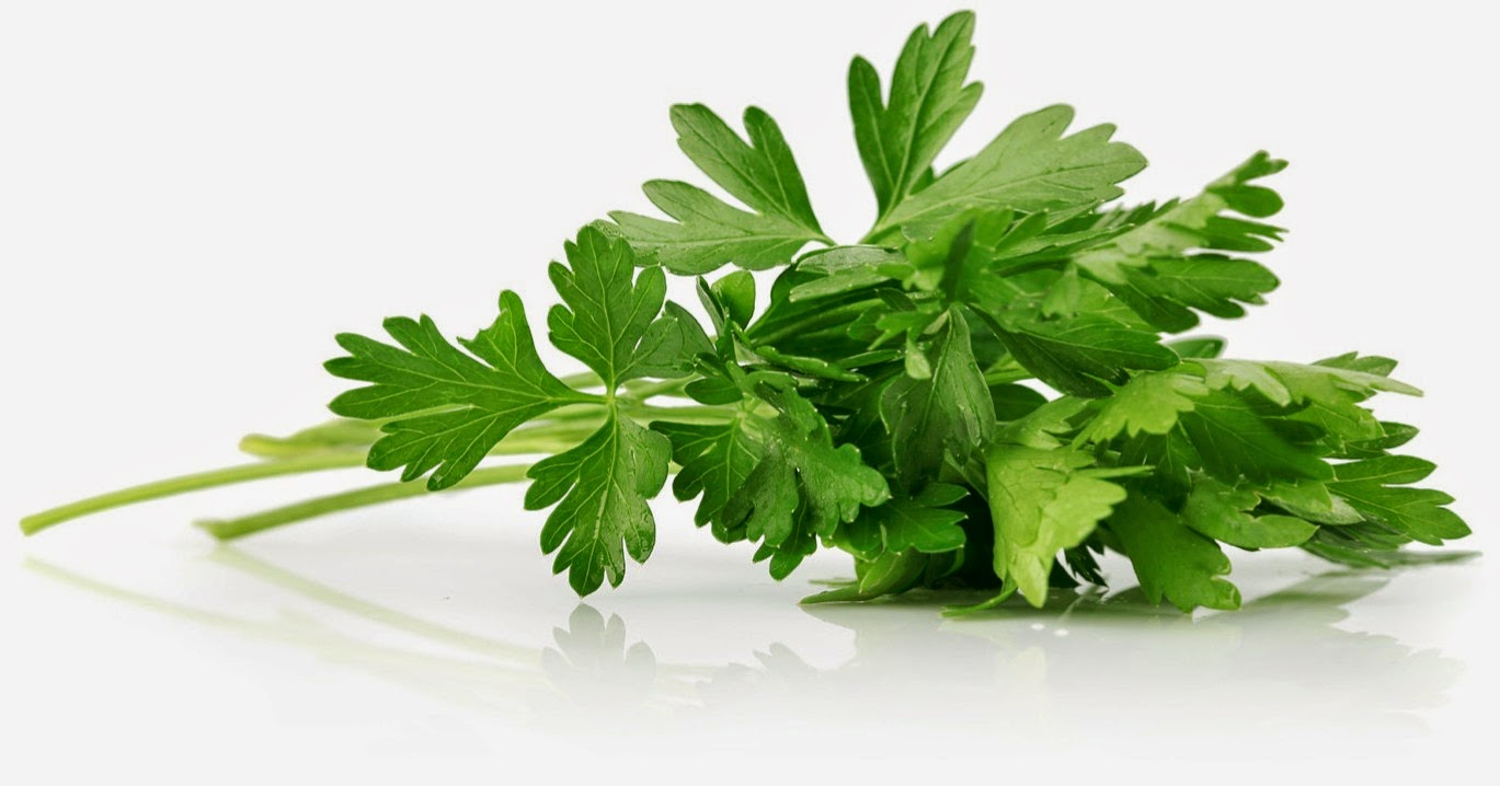 Hortalizas de Hoja. ~ Guía para plantar