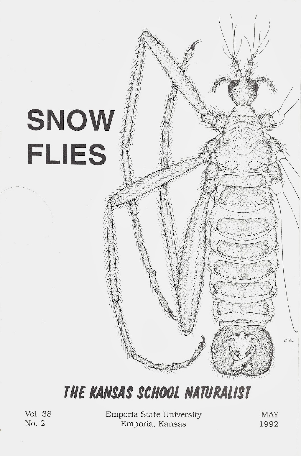 Bug Eric: Fly Day Friday: Snow Flies