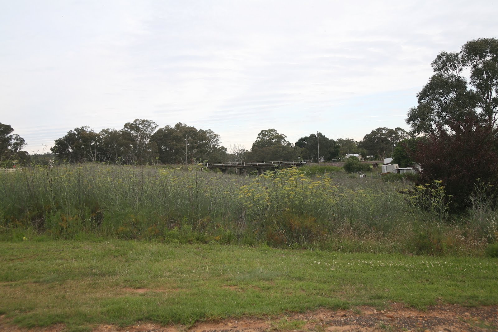 BINNAWAY RAILWAY STATION | Historic NSW Railway Stations by Phil Buckley