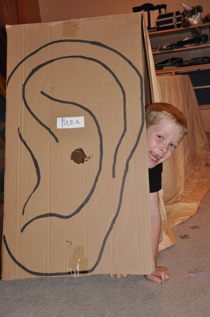 Savor The Days: Model of the Ear, Homeschool Style