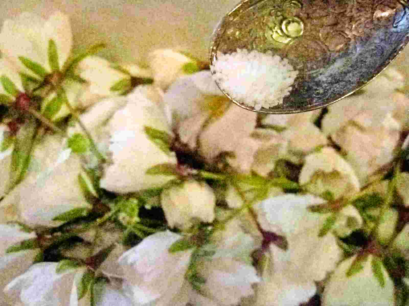 Recipes for Tom: Sakura no hana no shiozuke / salted cherry blossoms