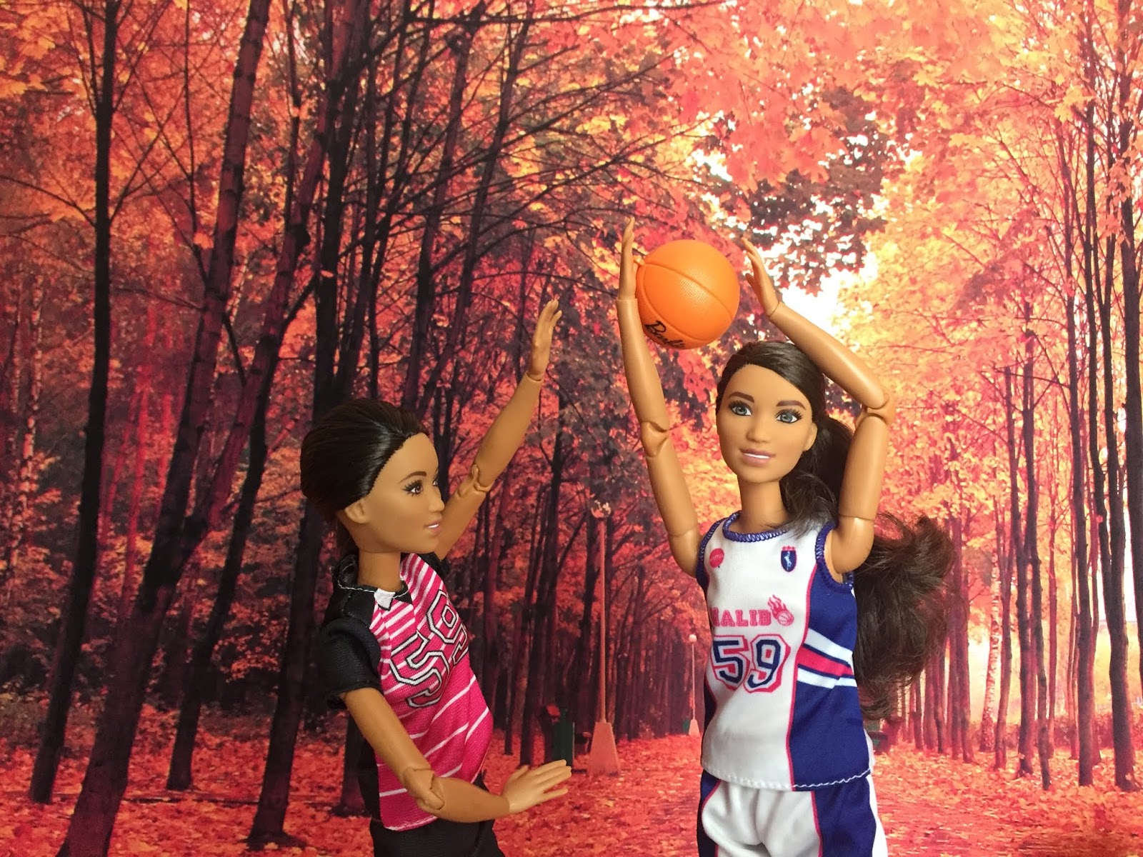 Cozy Comforts and Dolls: Tall Barbie Made to Move Basketball Player 2018