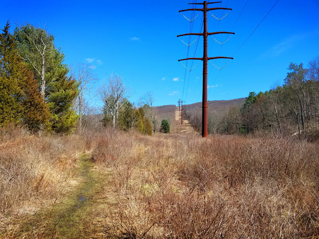 Hiking Trails in NJ and PA: Hiking the Van Campens Glen Trail