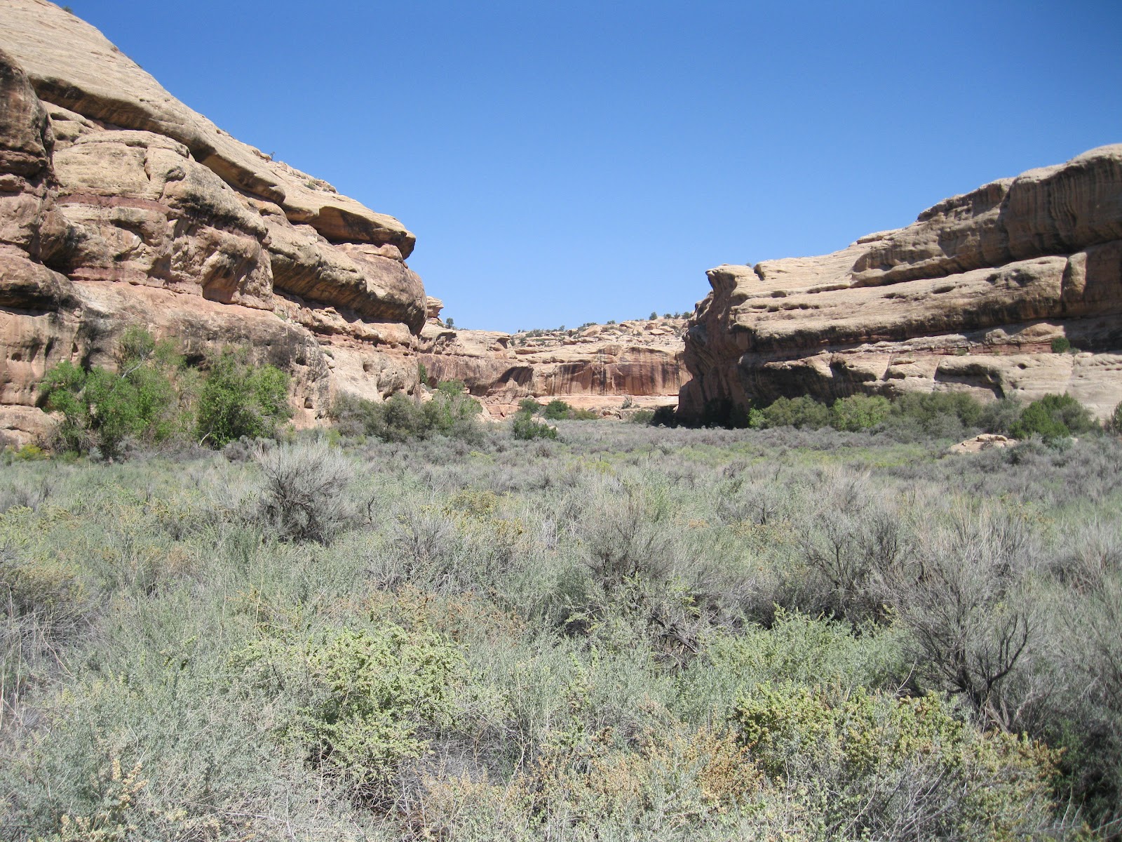Four Corners Hikes-Cedar Mesa in Utah: Government Trail to Grand Gulch