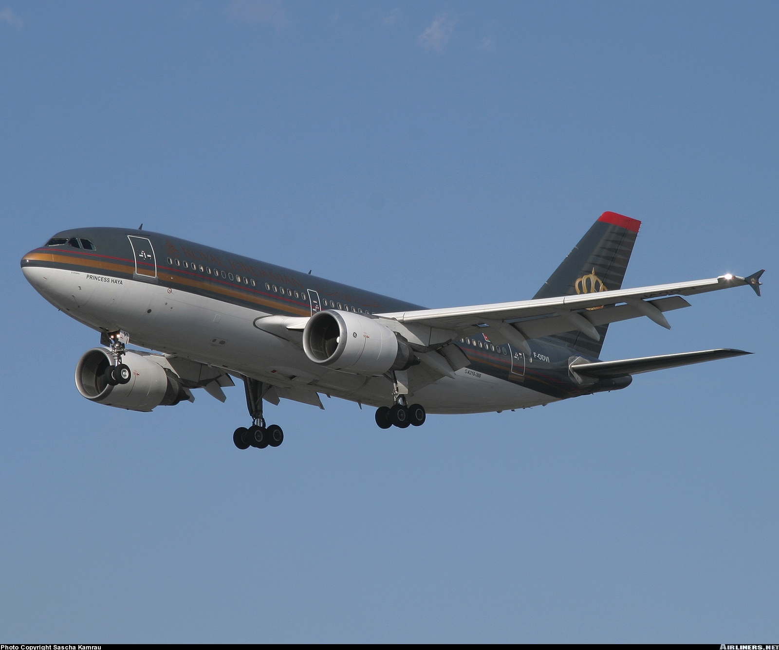 planepictures: Airbus A310