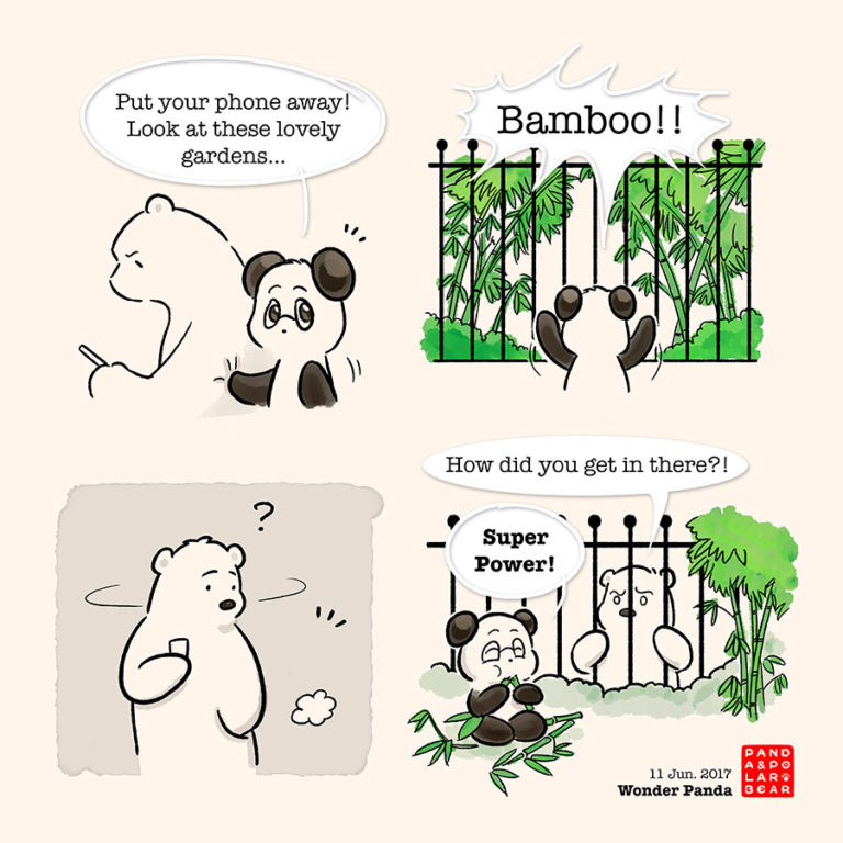 Panda and Polar Bear Comic