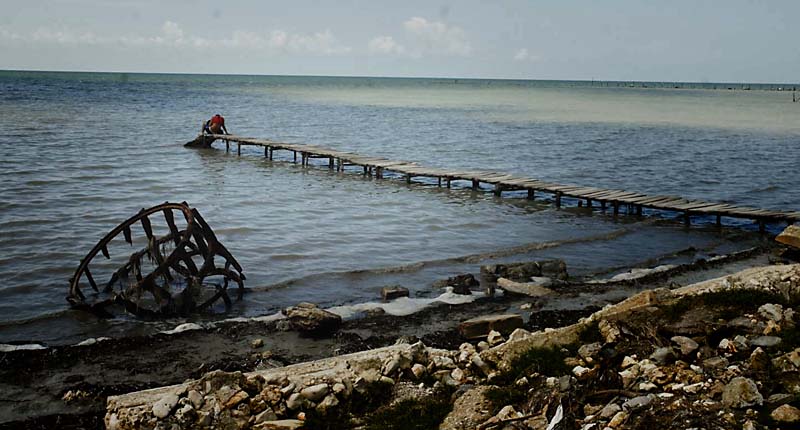 norlys photo: Del Caimito y otros Recuerdos.