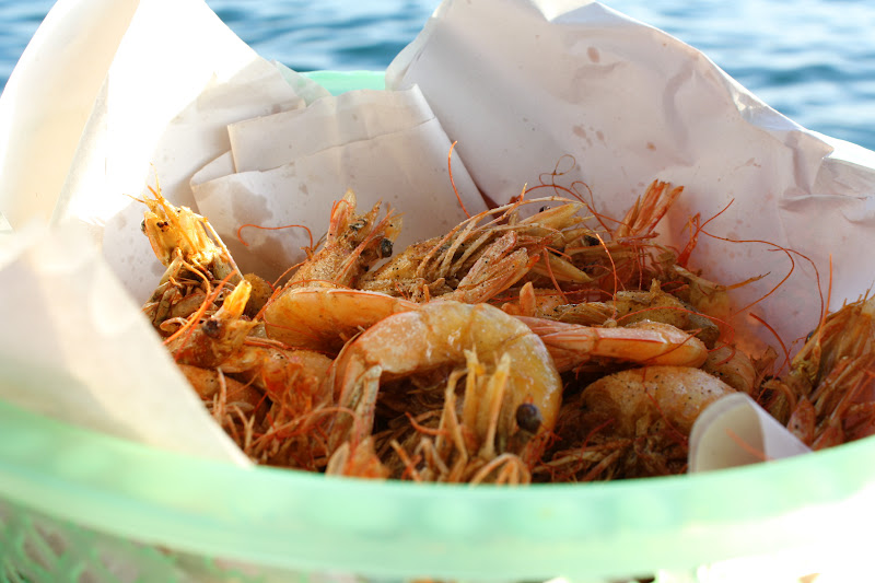 Your Lifestyle Guide: ARUBA HOTSPOT: Zeerover