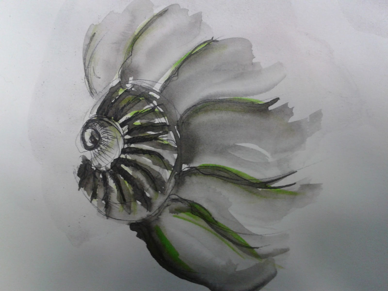 Art Portfolio: Drawing of shells with pen