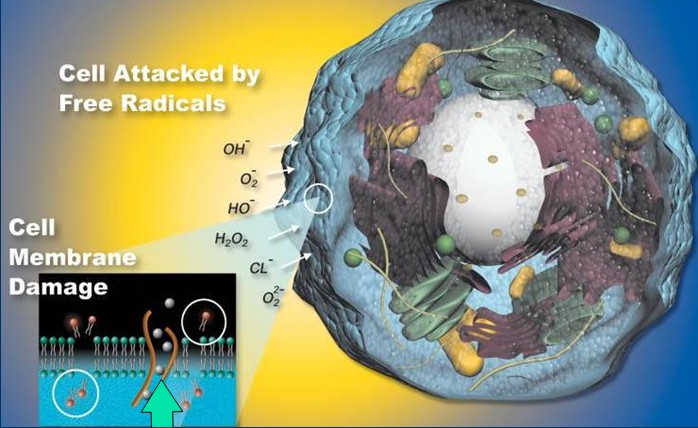 Agel Kuala Lumpur: 11/04/11