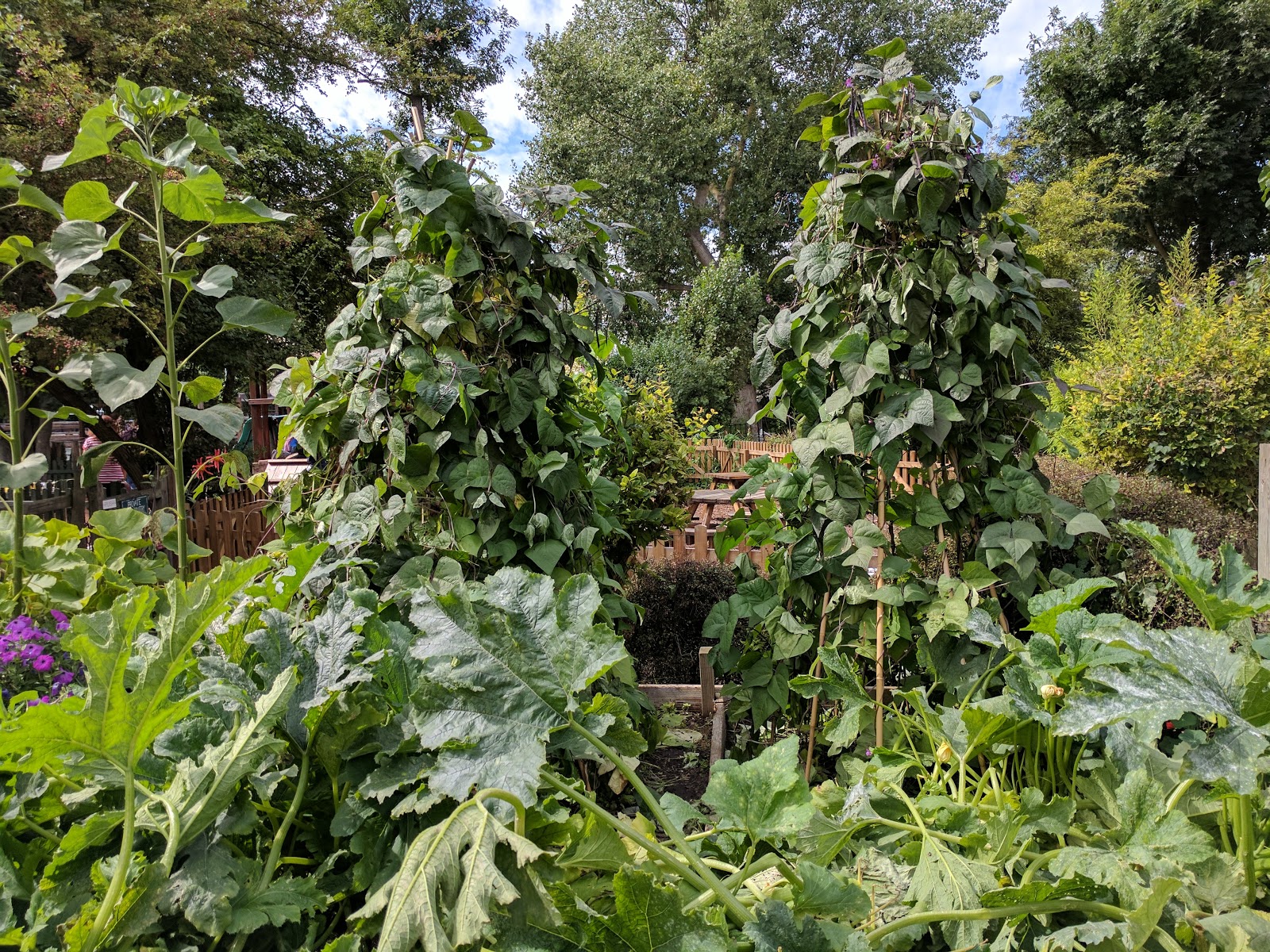 JibberJabberUK: Deen City Farm