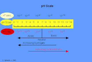 Chemistry Blog: Explaining pH: pH in a nutshell!