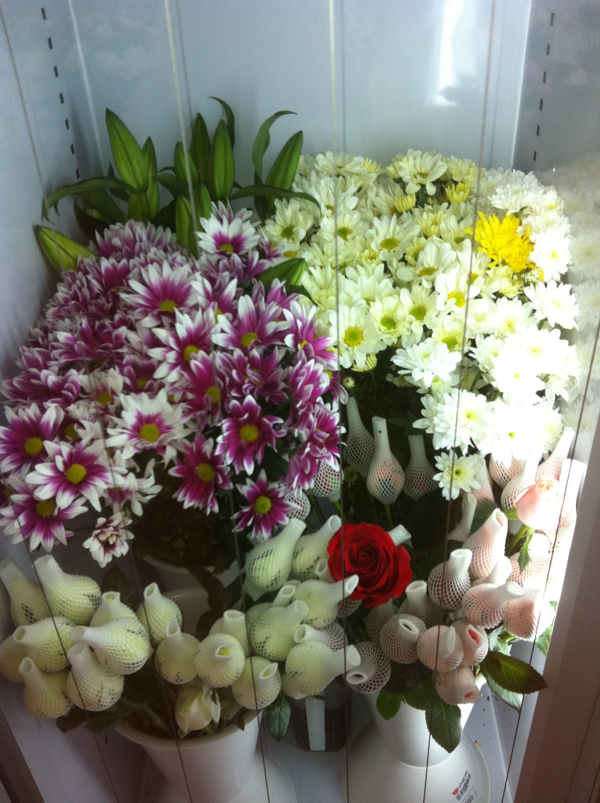 Souvenir & Flower together: bunga segar @ fresh flower