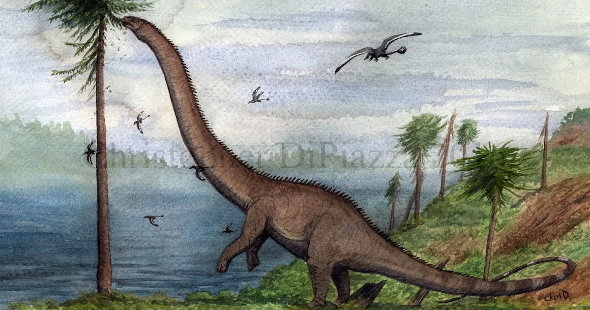 Prehistoric Beast of the Week: Barosaurus: Beast of the Week