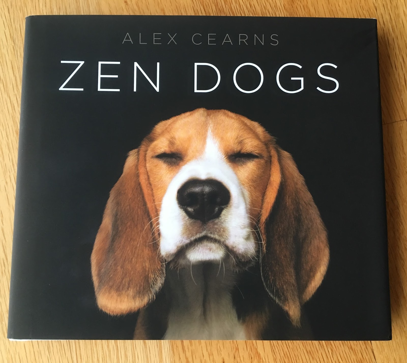 Pooch Smooches: New Dog Picture Books for the Collection