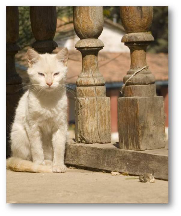 Sarah en Perú: Chillen! Tarma? Ok, wenns sein muss!