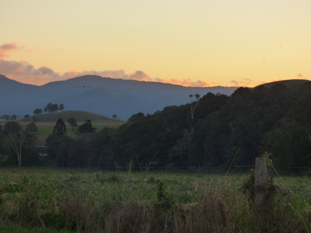 Travels with a Tick Magnet: Mareeba, Mareeba