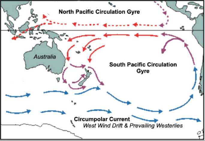 NephiCode: The Fallacy of El Nino