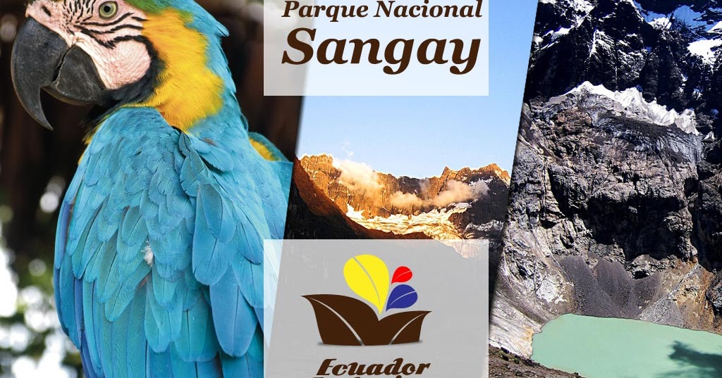 El Primer Directorio Ambiental del Ecuador en Internet: ECOTURISMO ...