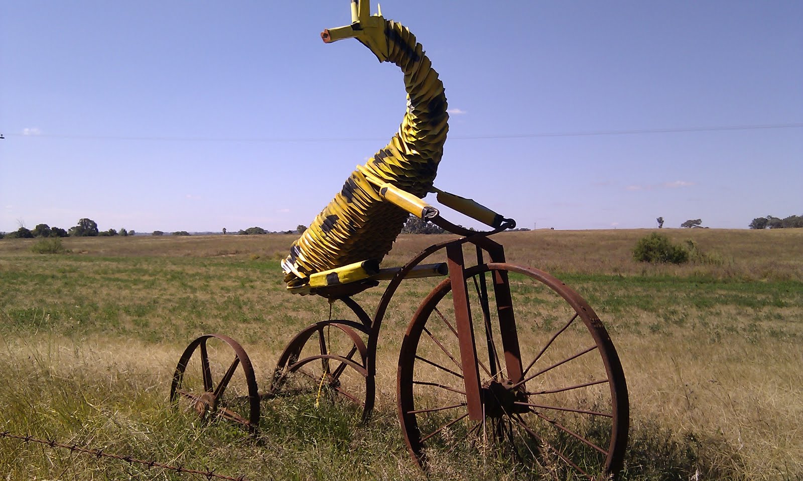 The Fig Tree: Animals on Bikes