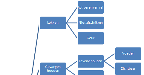 Davy IPO: Project Muizenval Functieboom Versie 2