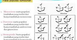 Perbedaan Antara Monoecious dan dioecious Organisme