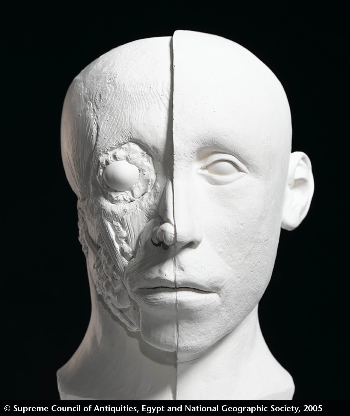 Racial Reality: More on the King Tut Reconstructions